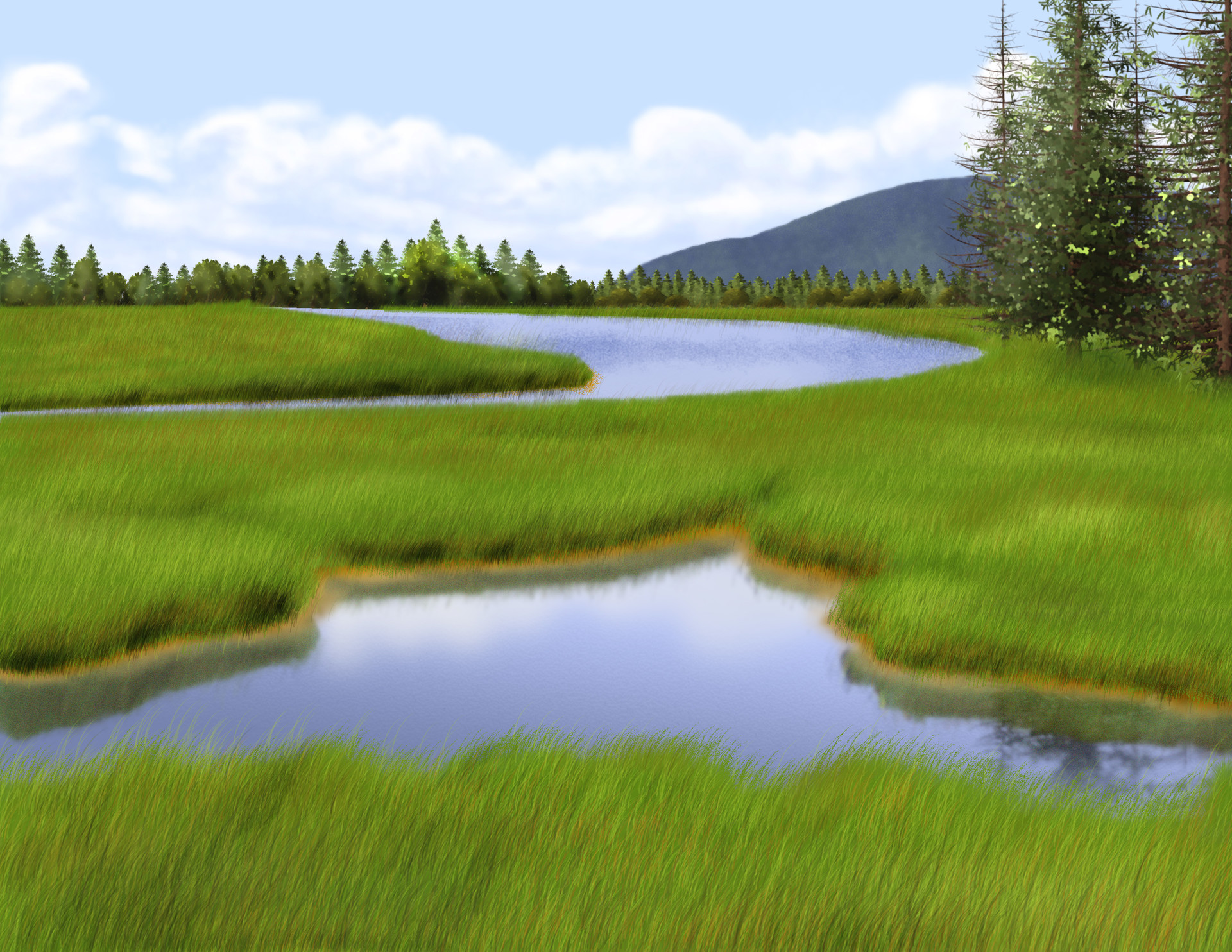 ArtStation - Marsh Landscape