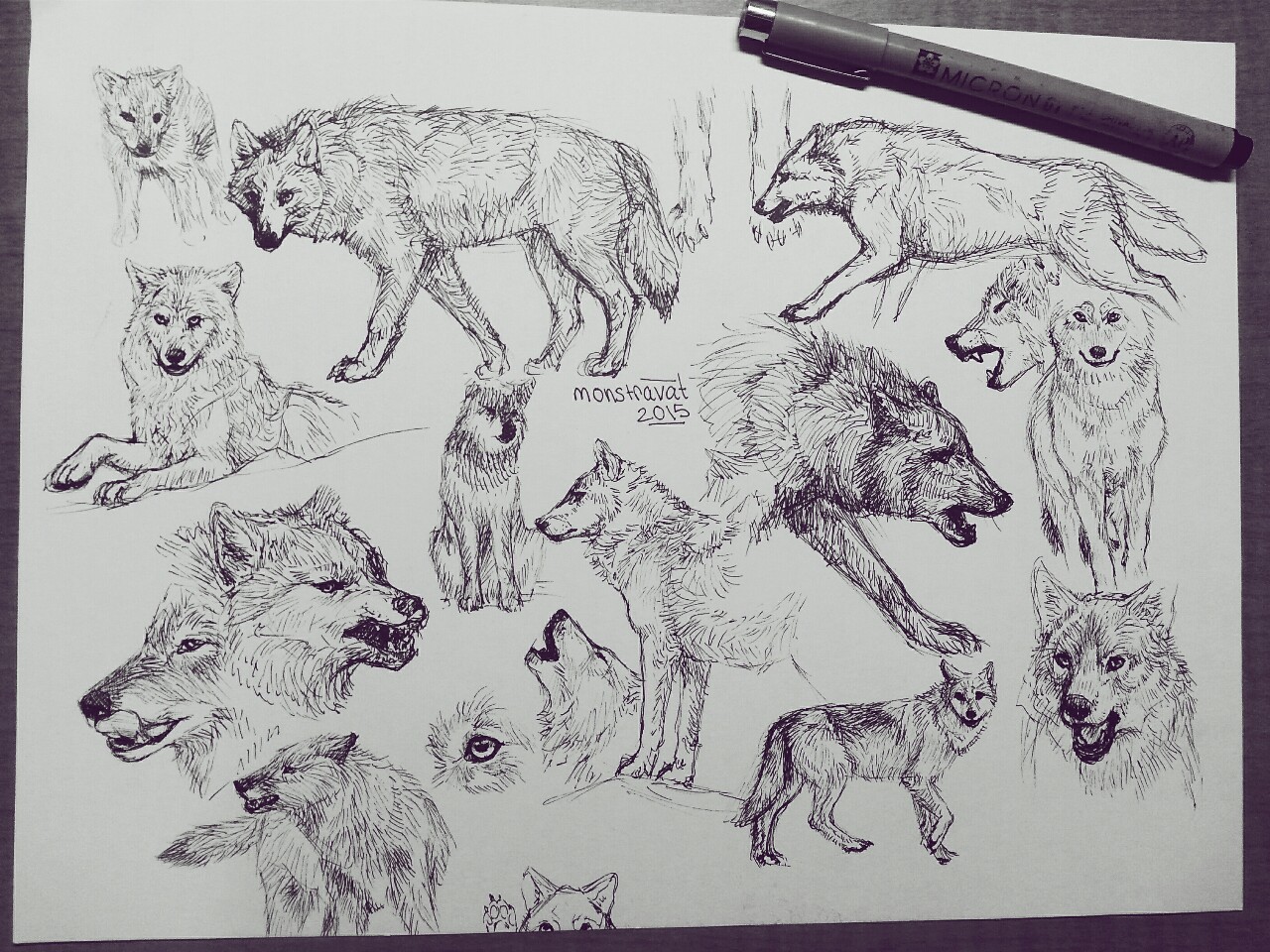 ArtStation - Pen Wolf Study
