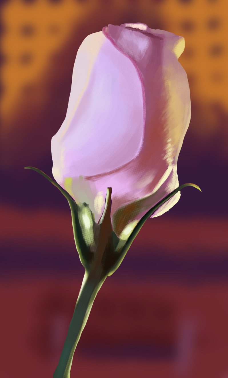 ArtStation - Roses are pink