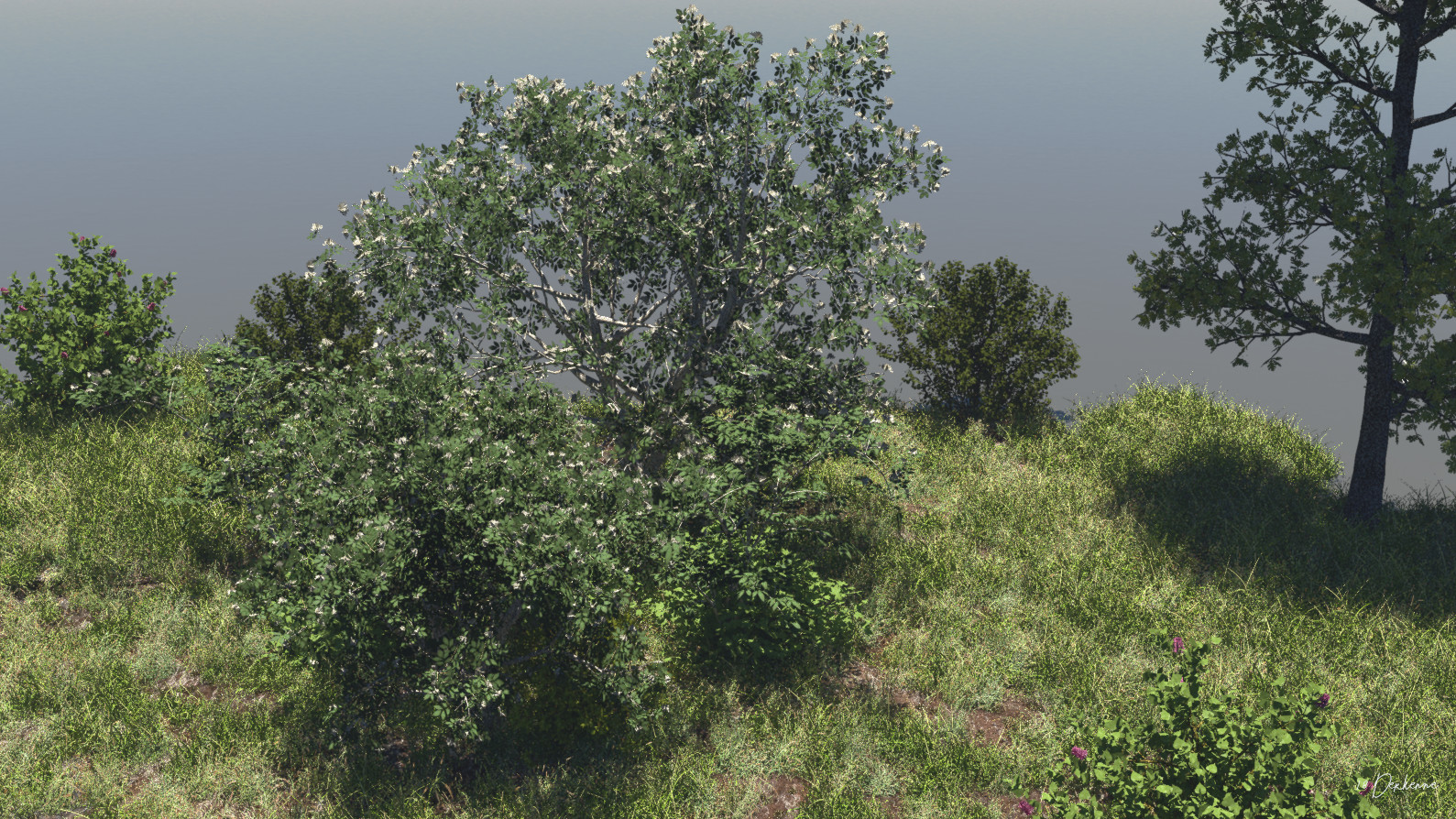 ArtStation - Digital riverbank