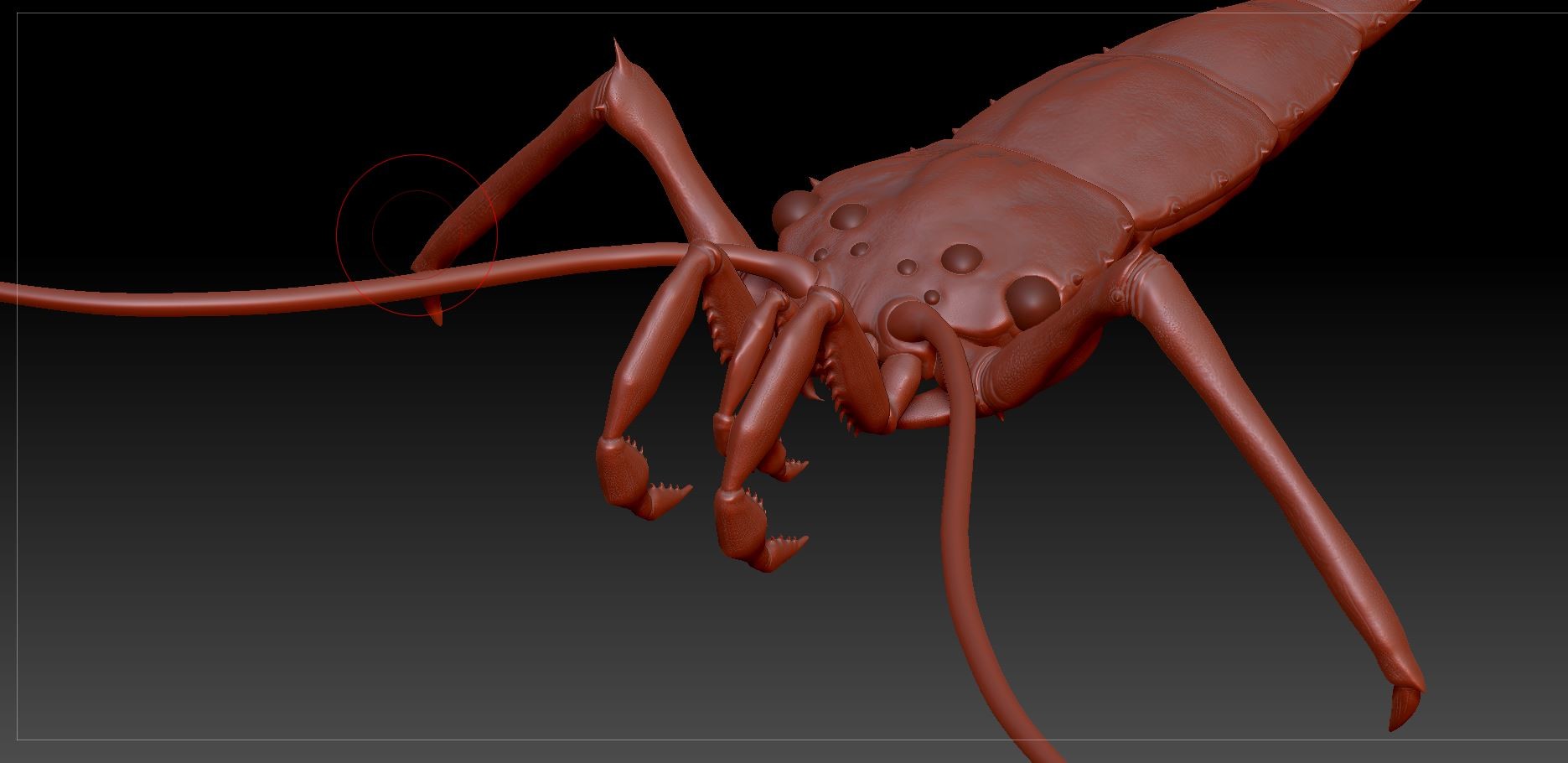 Simon Keane - Mantis Centipede