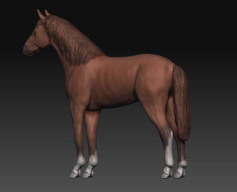 Simone Graf - 3D Horse Modell
