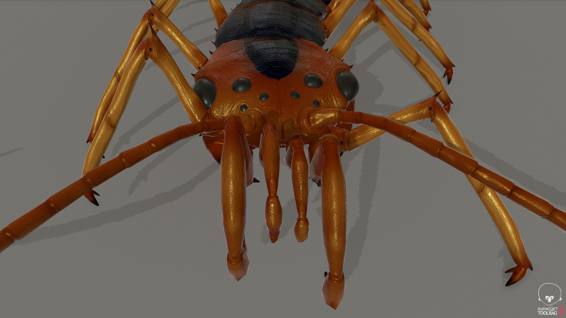 Simon Keane - Mantis Centipede