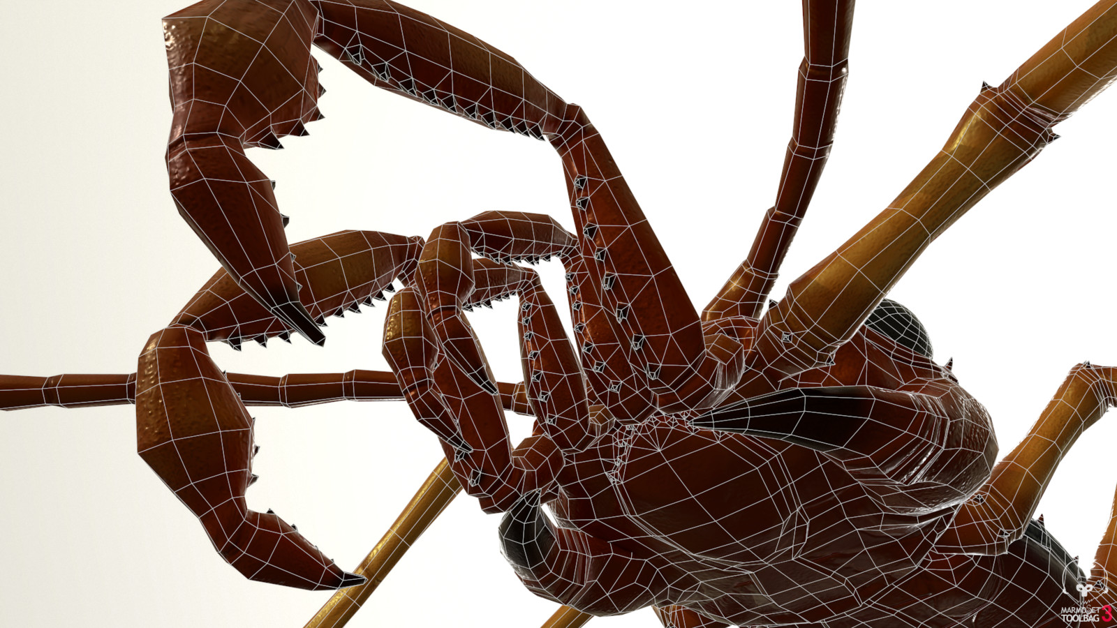 Simon Keane - Mantis Centipede