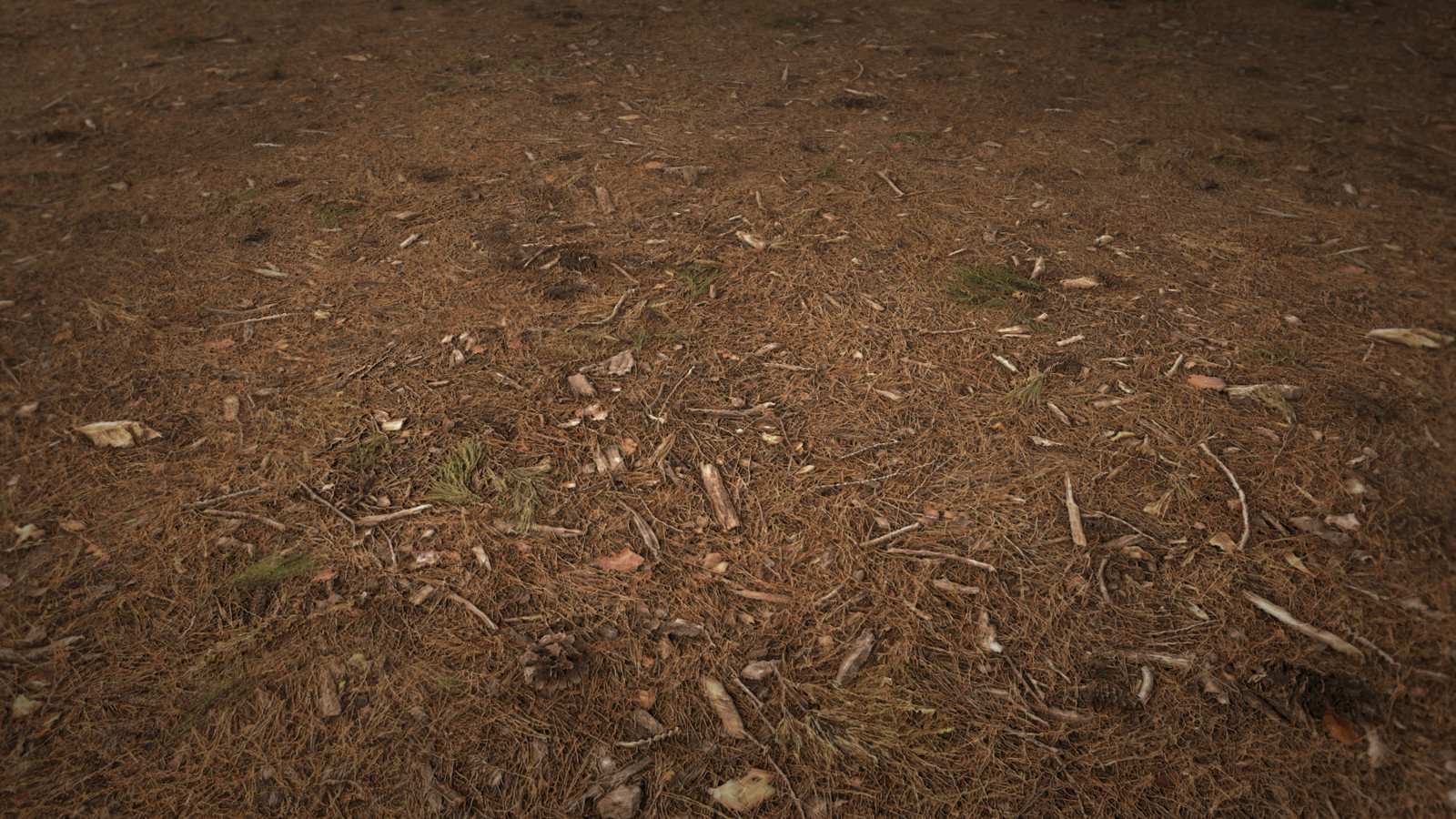 Riley Hanlin - Pine Forest Floor Photogrammetry - Render Ball