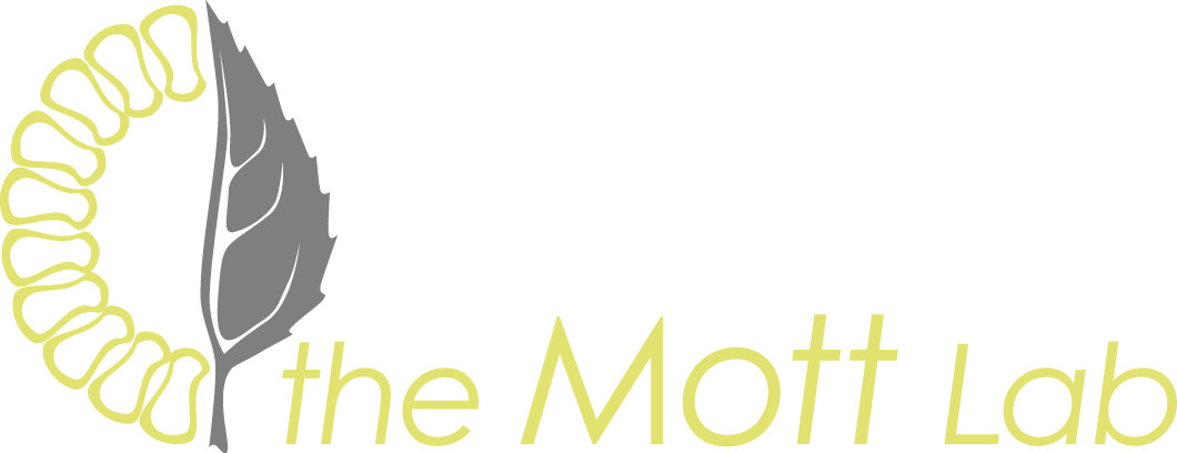 Peggy Muddles - The Mott Lab logo