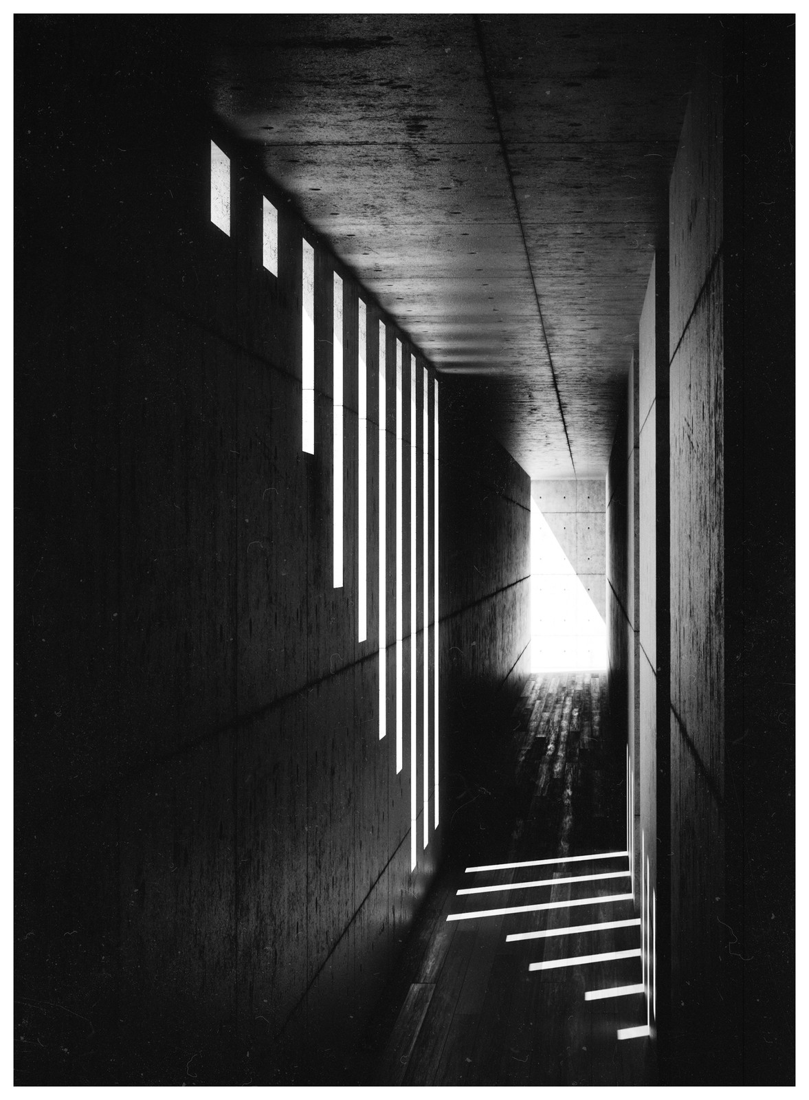 Alex Senchenkov - Light and shadow