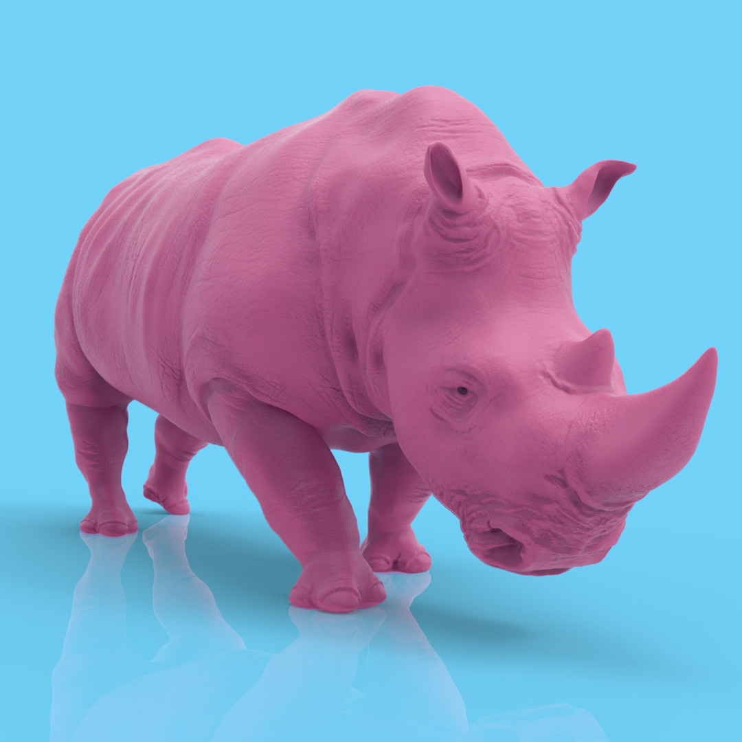 ArtStation - Pop Rhino