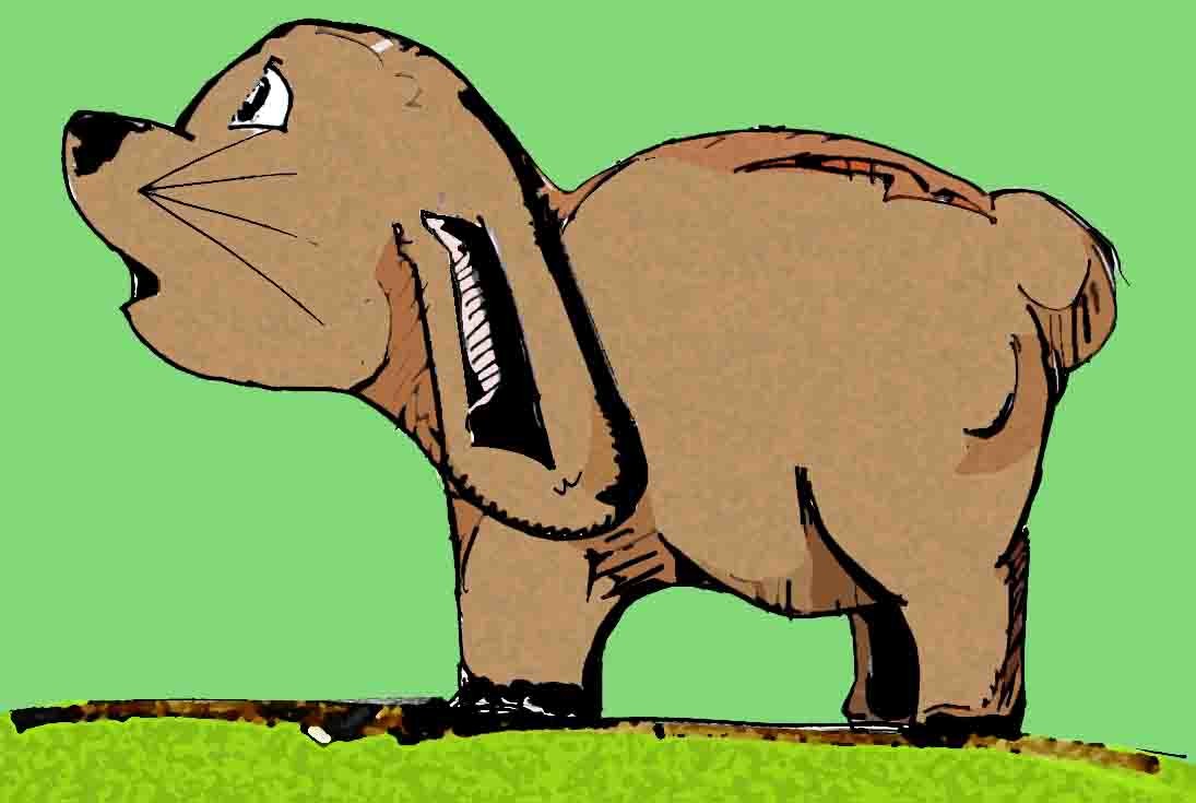 Vincent Saint-cyr - A small series of Dogs portait