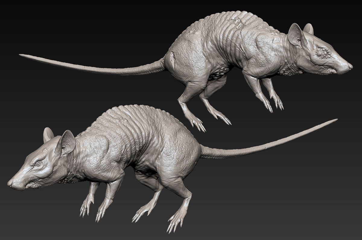 Gamma Minus - Infected Rat