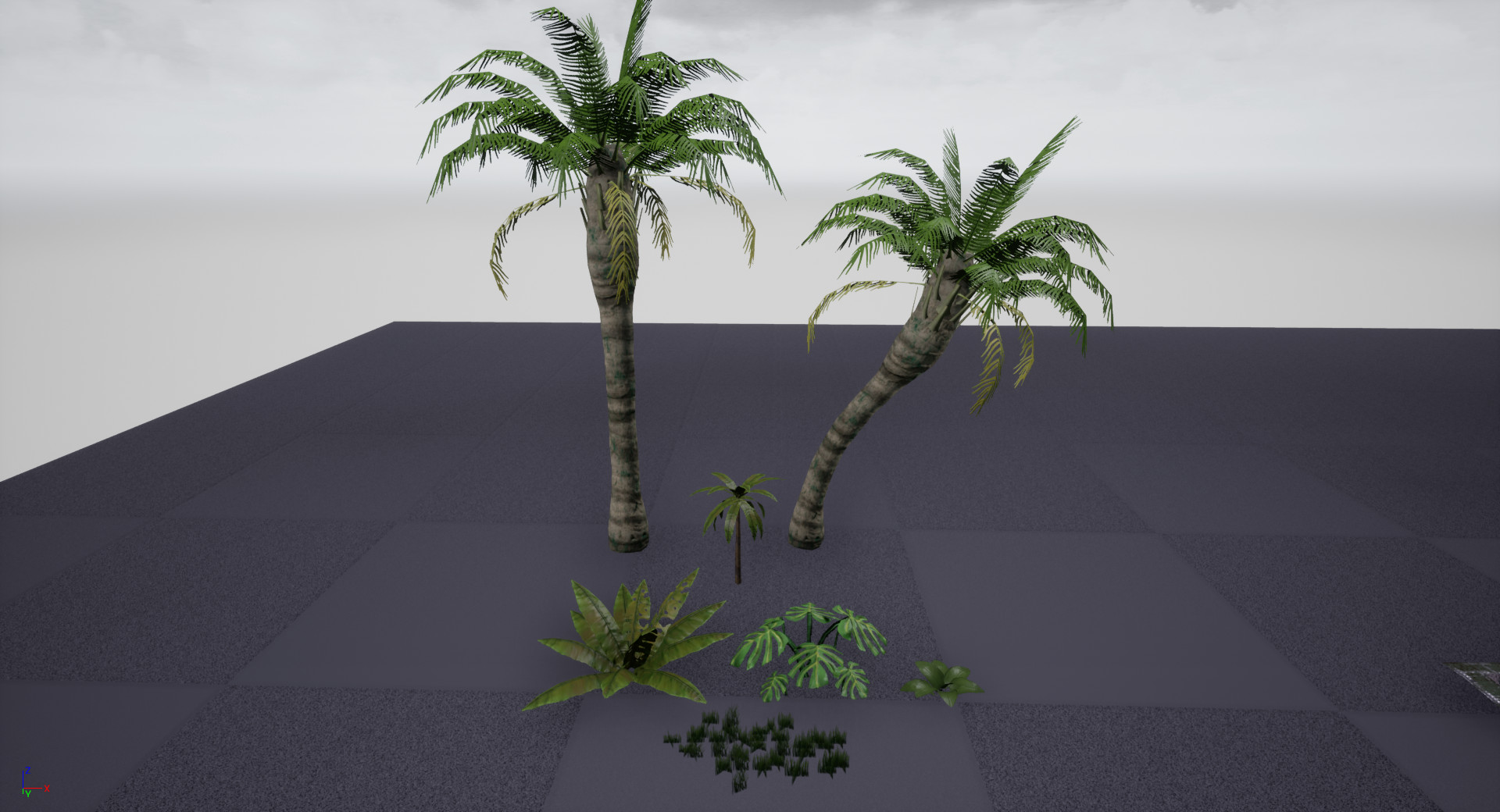 Gerardo Gamboa - Helicopter Crash Site