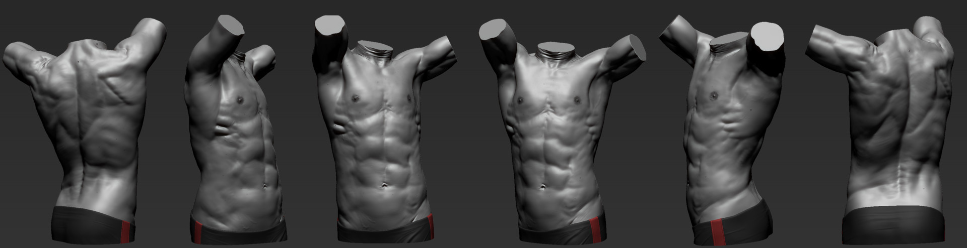 ArtStation - Anatomy study - Torso