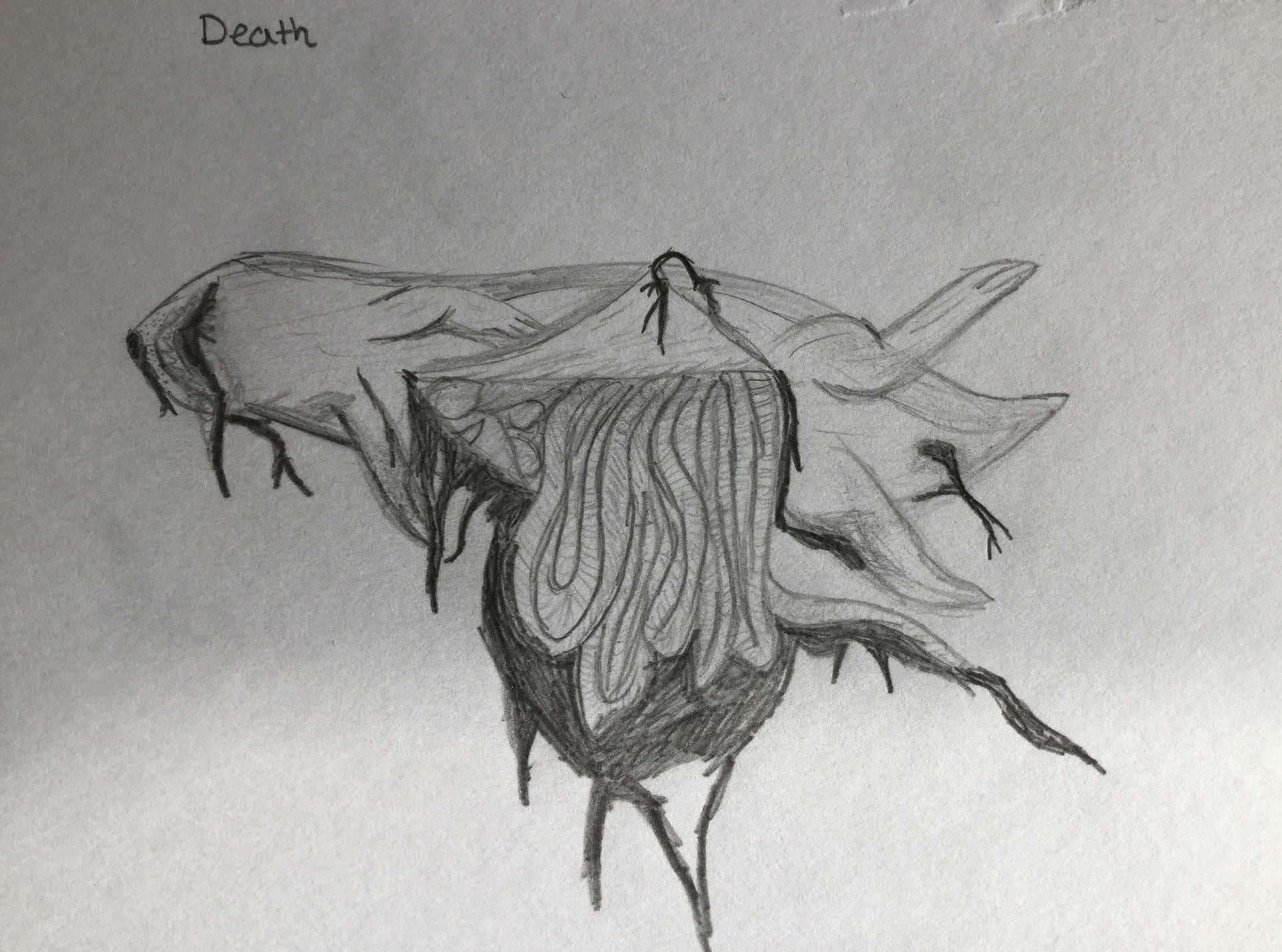 how to draw intestines gore