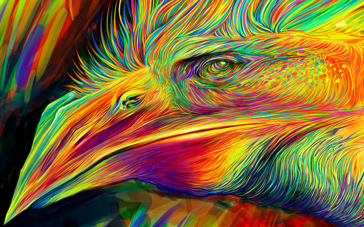 ArtStation - Colorful flight