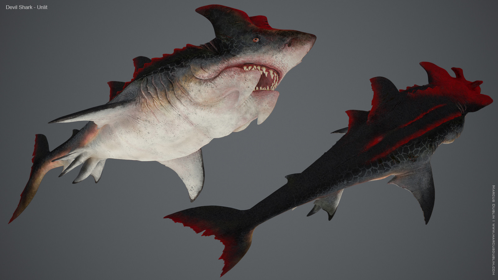 marcus-dublin-devil-shark-group-unlit-render-01b.jpg (1600×900)-花瓣网