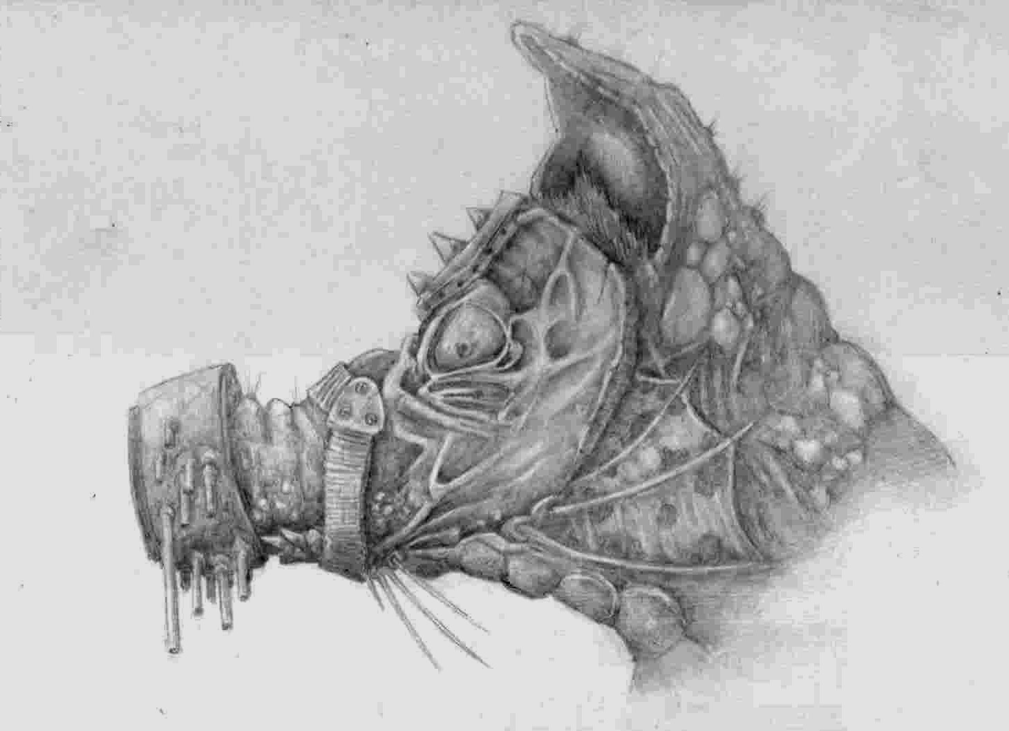 ArtStation - Radioactive pig