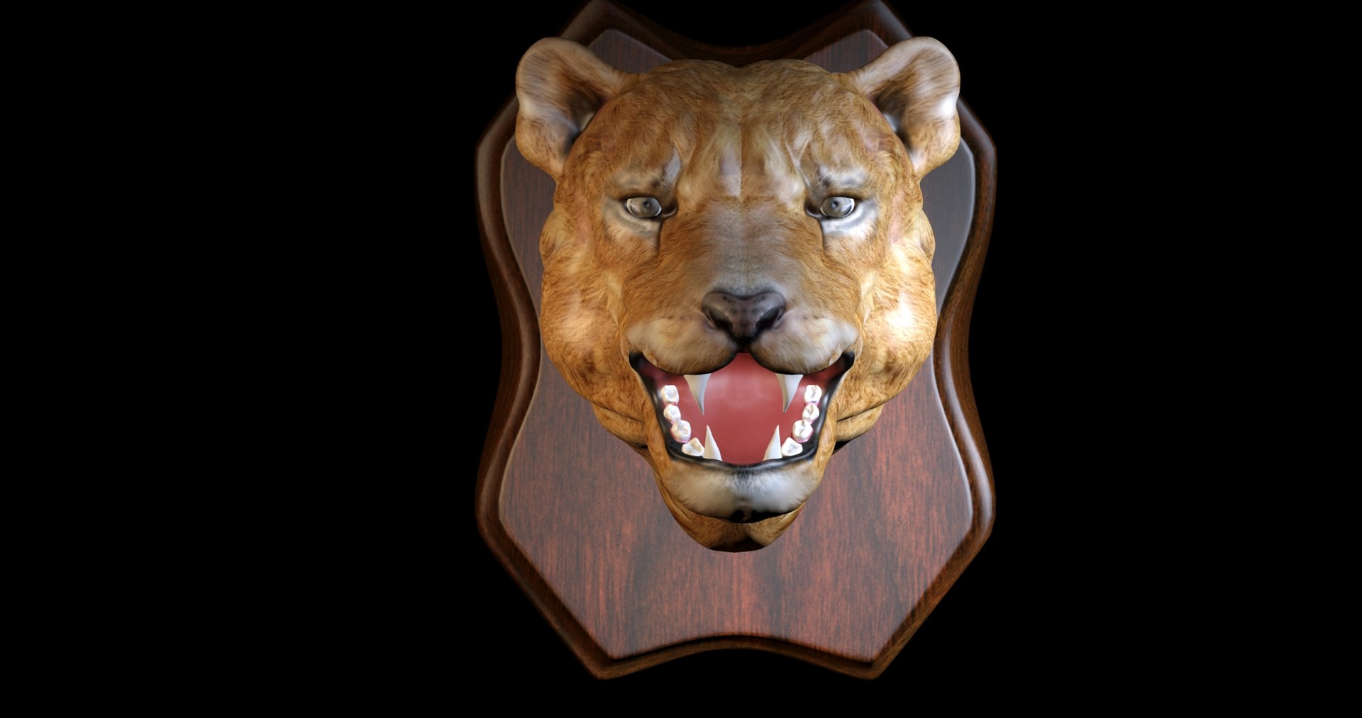 Manuel Limon - lion head