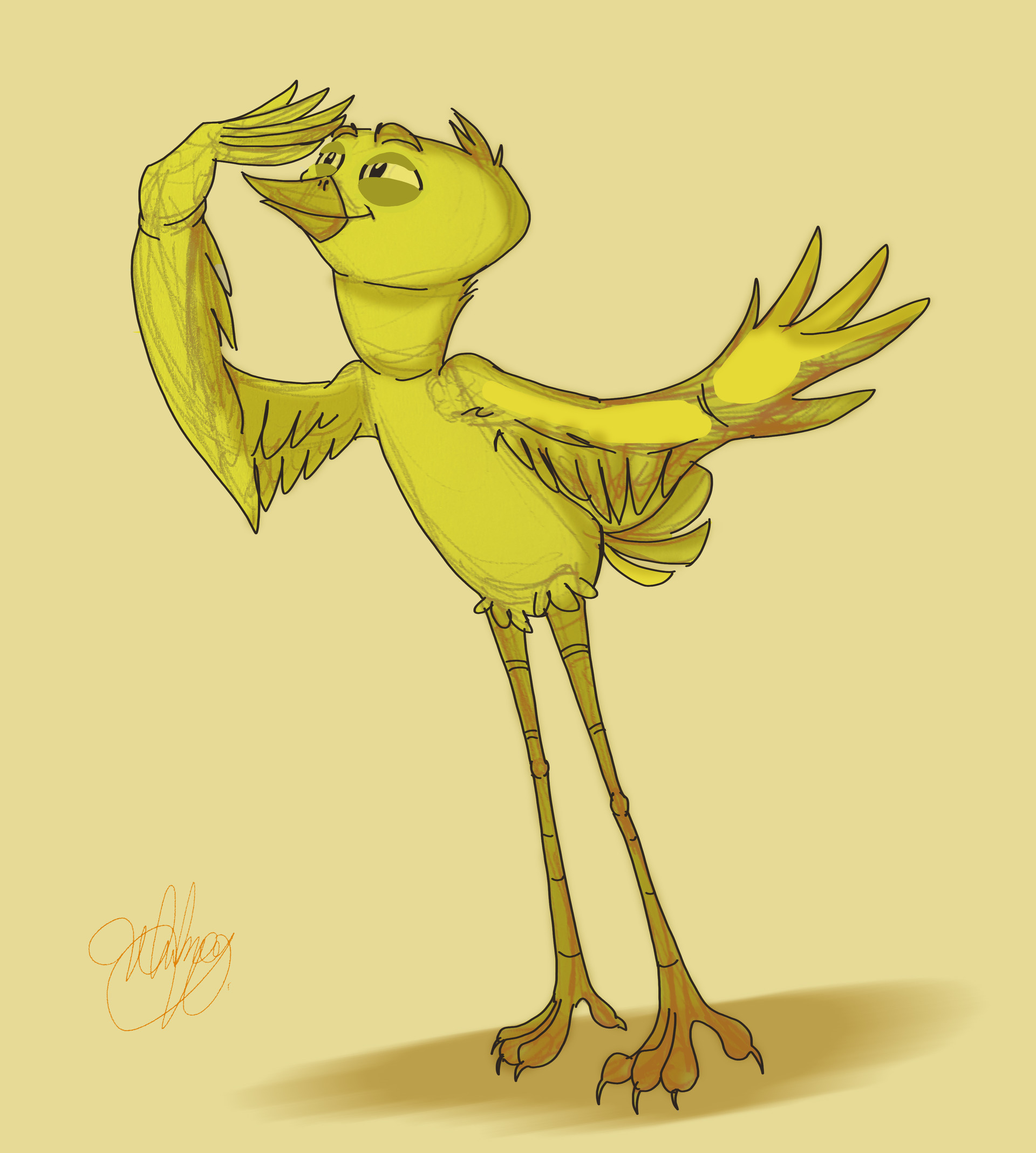 ArtStation - Bird Designs: