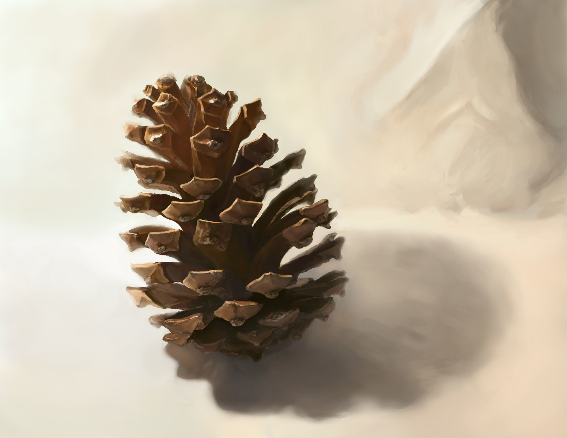 ArtStation - Pinecone Study