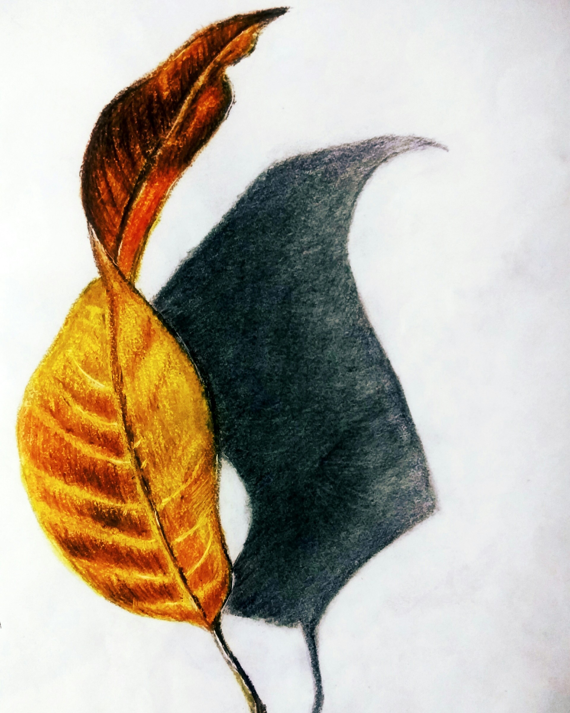 how to draw leaves with oil pastel