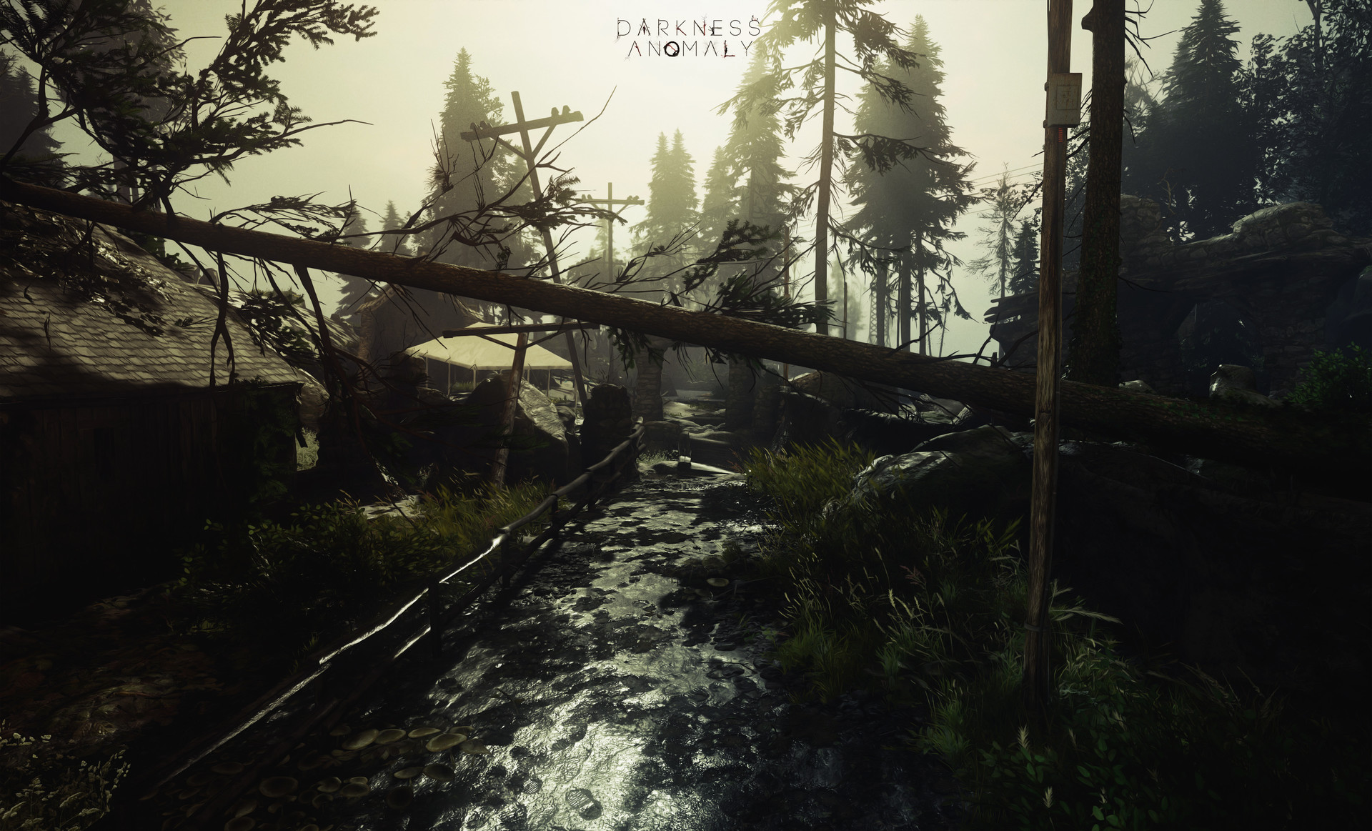 ArtStation - Swamp Area in Darkness Anomaly