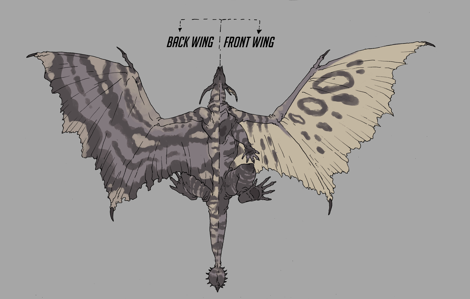 Fernanda Adami - Stegodragon