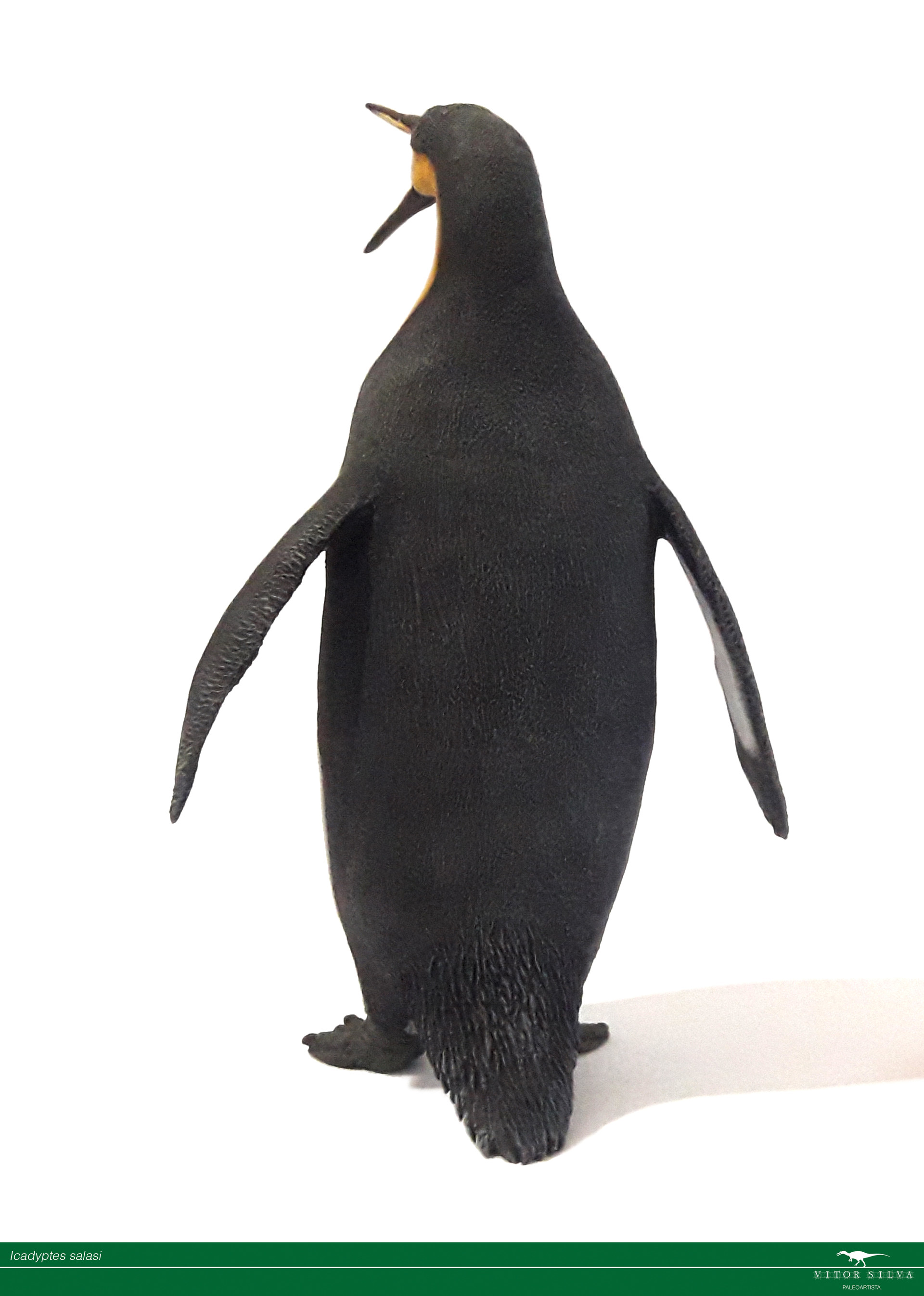 Vitor Silva - Icadyptes