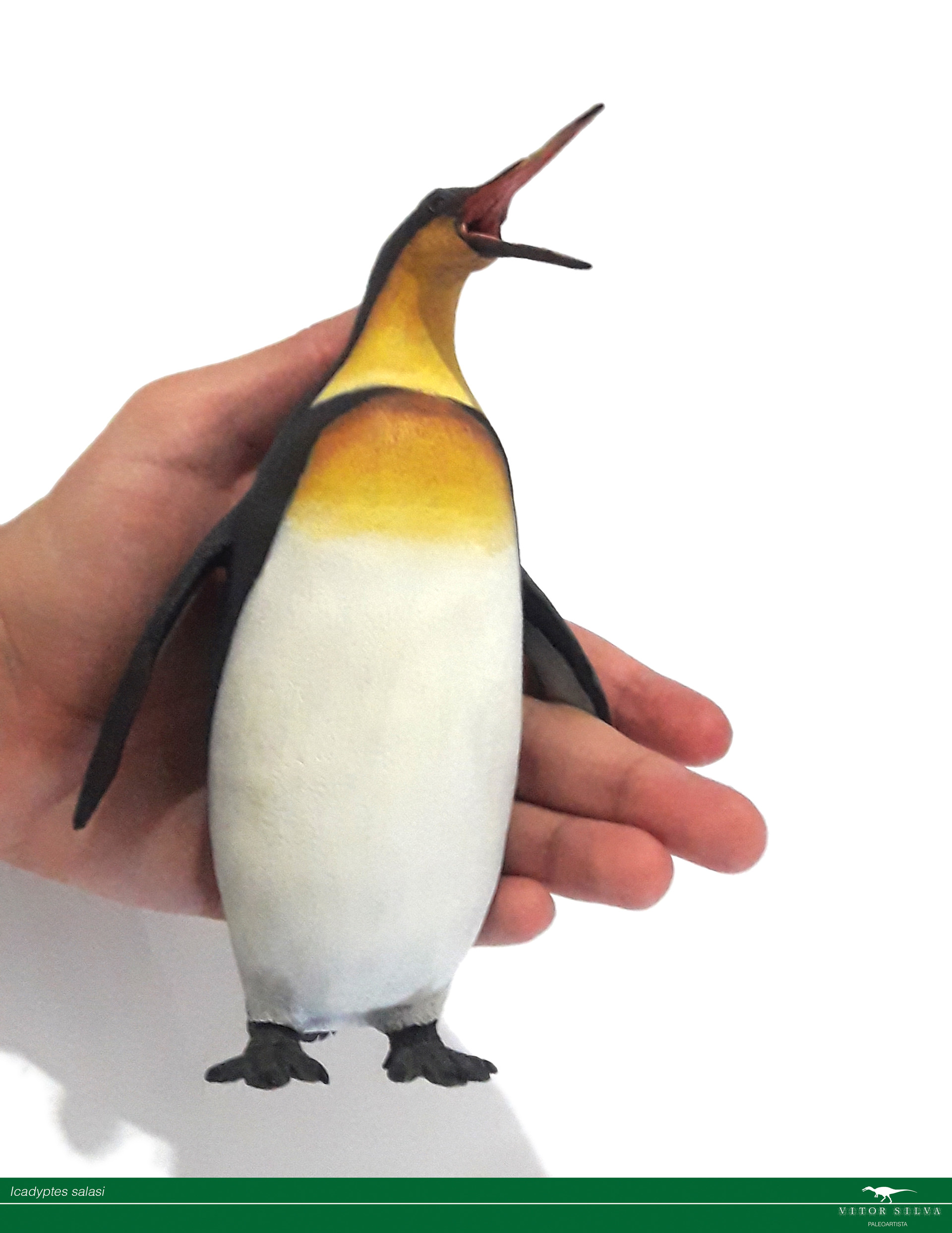 Vitor Silva - Icadyptes