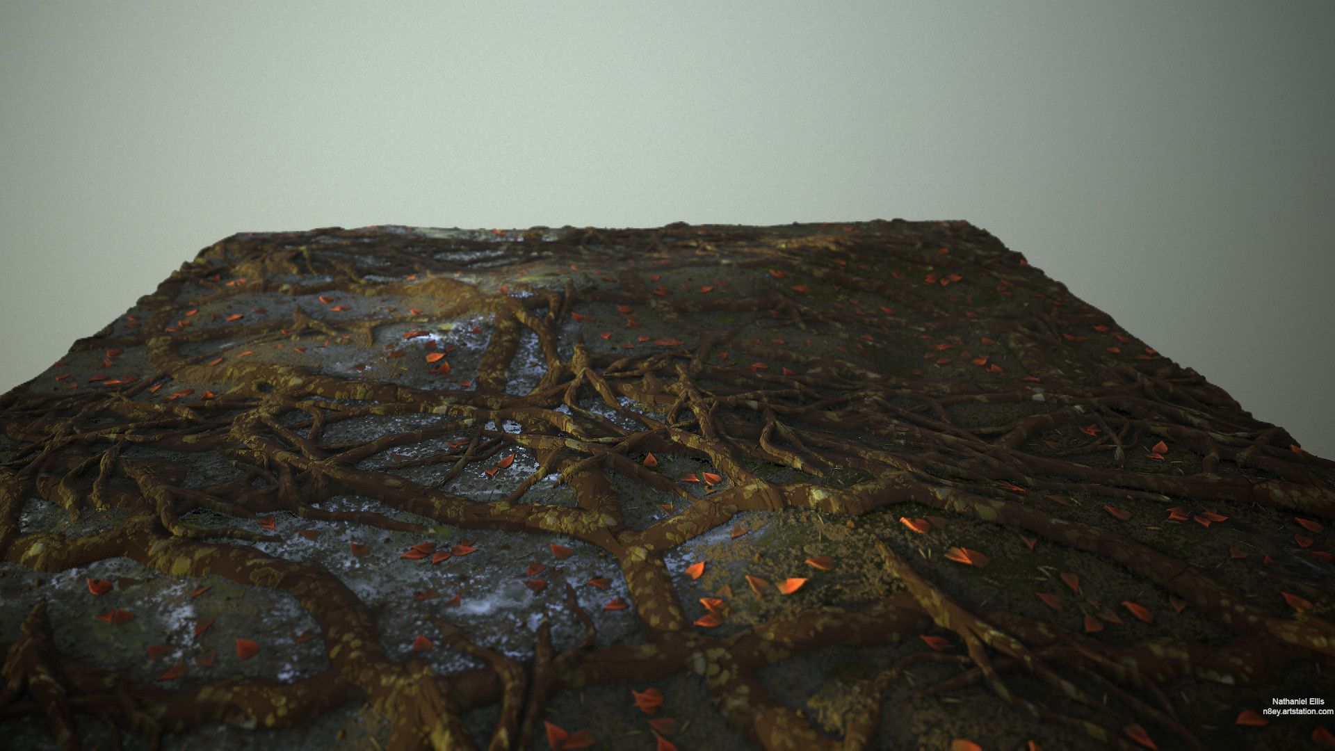 Nathaniel Ellis - Forest Dirt