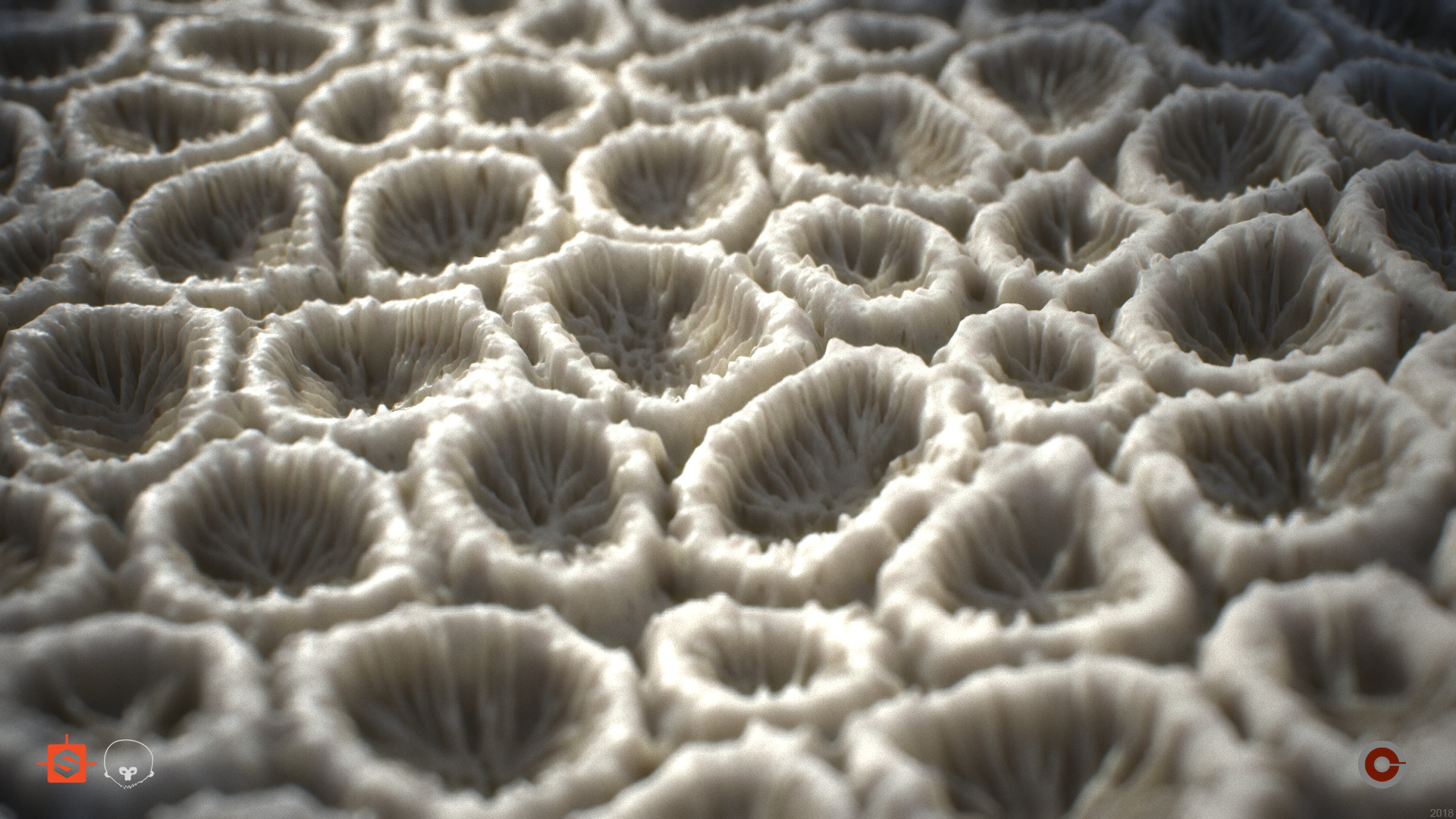 Gil Cornut - Dead Coral