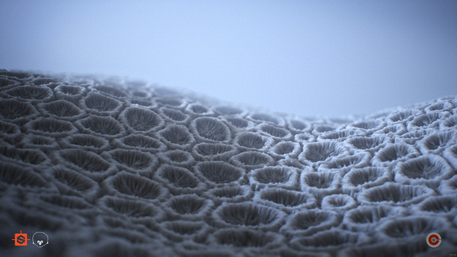 Gil Cornut - Dead Coral