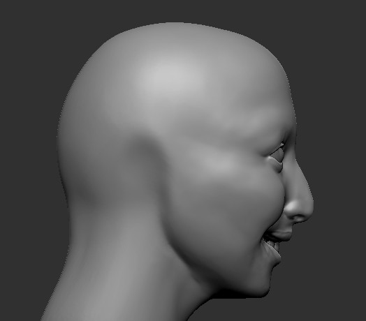 ArtStation - daily 4 hour zbrush face modeling training
