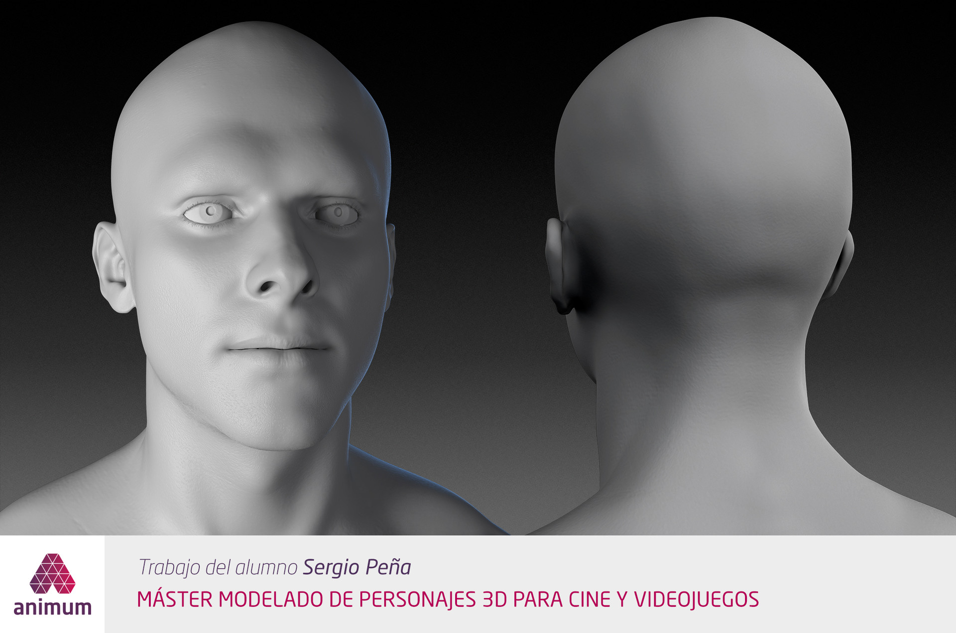 Animum Creativity Advanced School - Modelado Anatomía Humana
