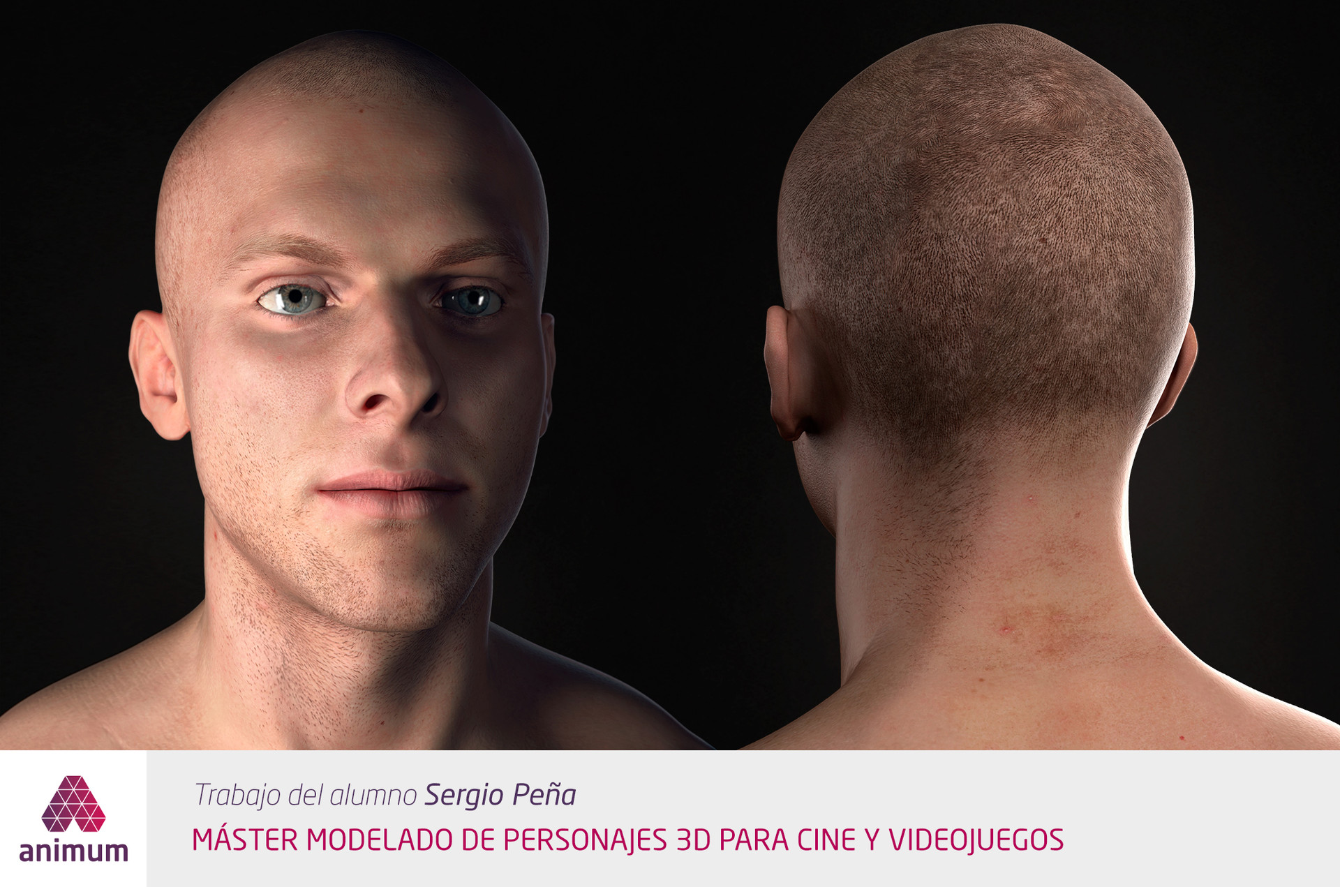 Animum Creativity Advanced School - Modelado Anatomía Humana