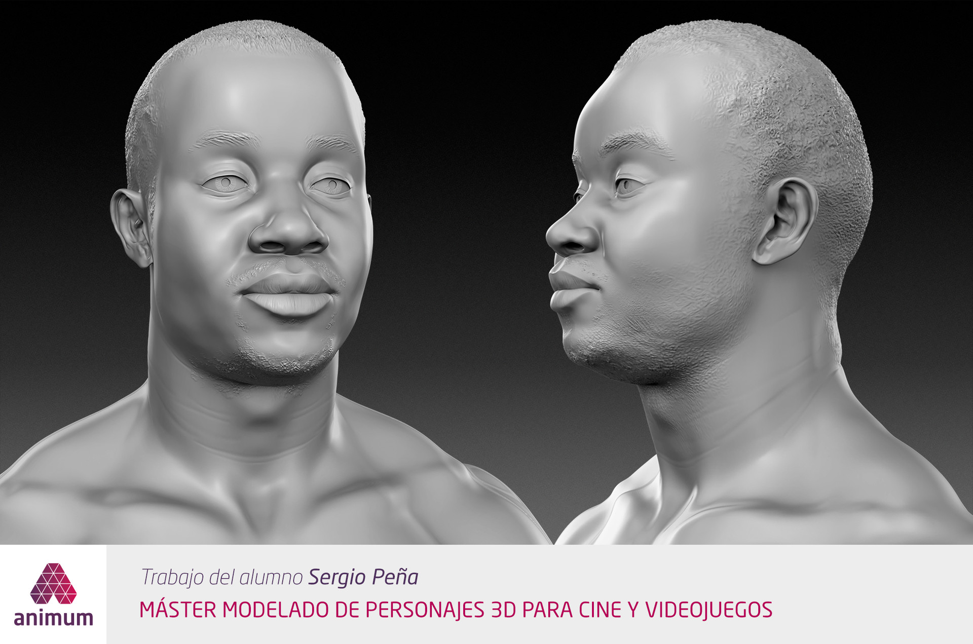 Animum Creativity Advanced School - Modelado Anatomía Humana
