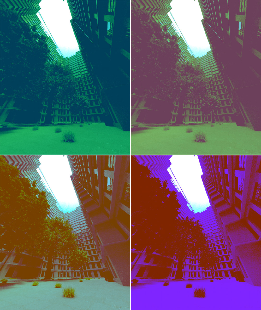 Philipp Taplan - Urban Nature II