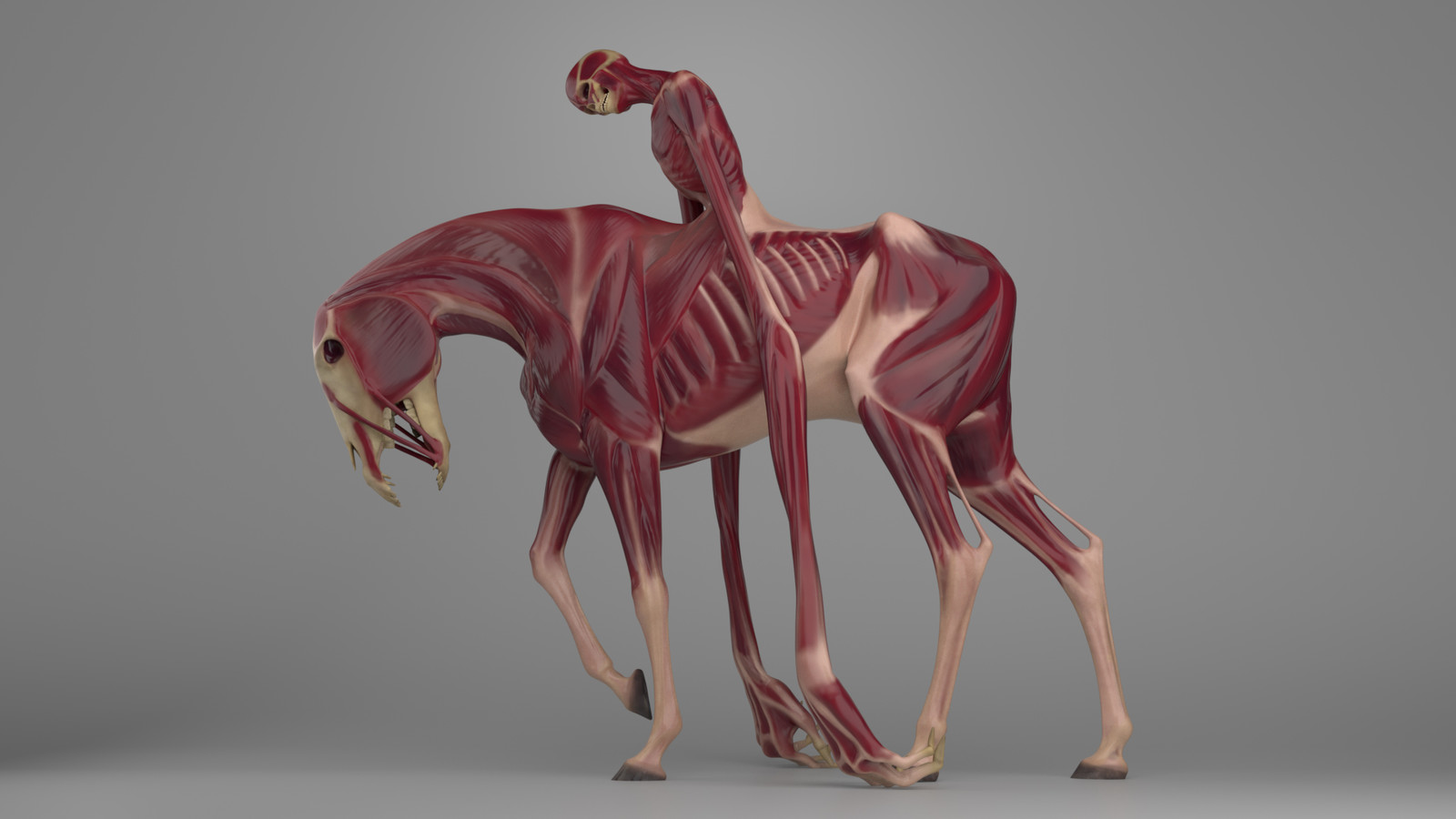 Shay Mathers - The Nuckelavee