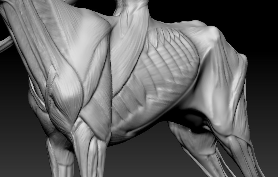 Shay Mathers - The Nuckelavee