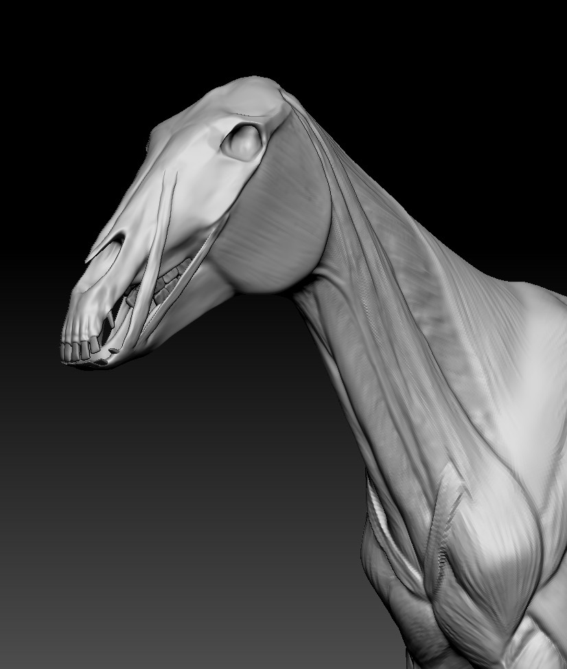 Shay Mathers - The Nuckelavee