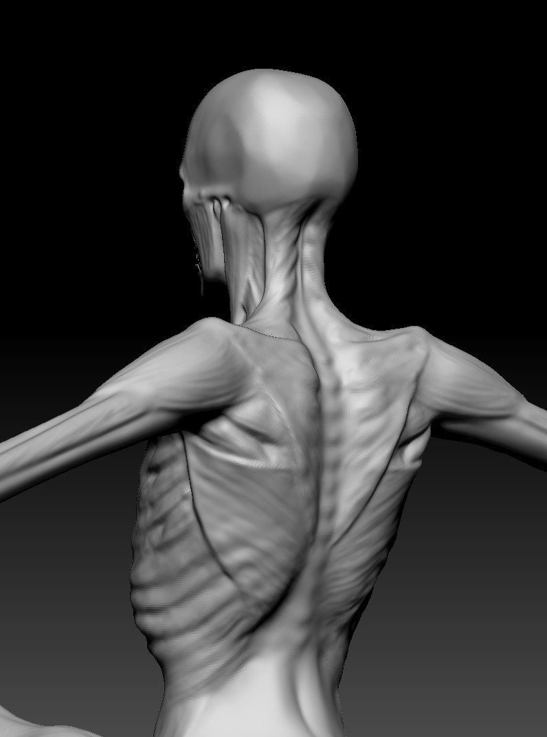 Shay Mathers - The Nuckelavee