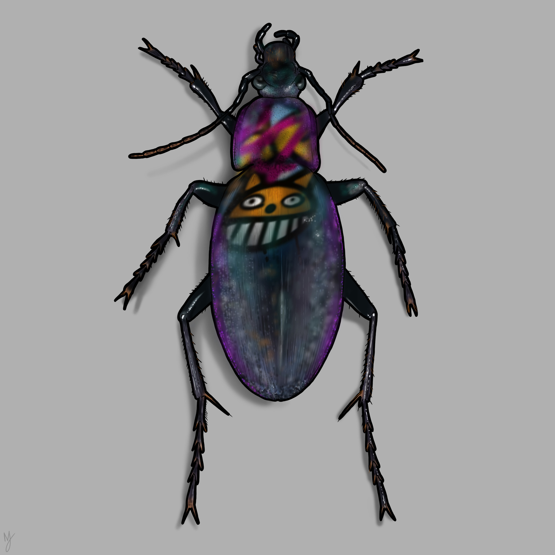 Matthew James - Graffiti Bugs