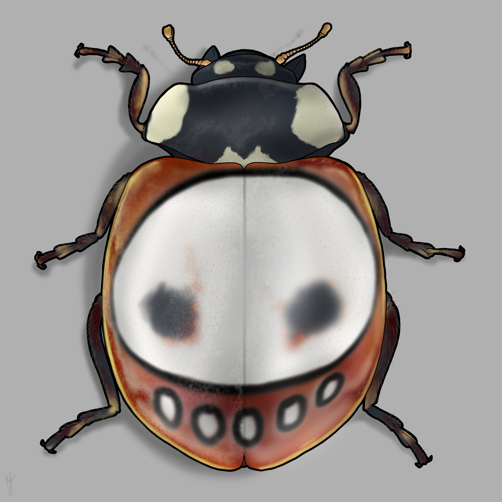 Matthew James - Graffiti Bugs