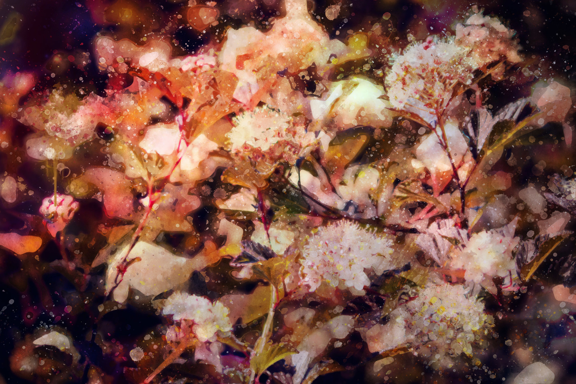 ArtStation - Magic garden. Roses.