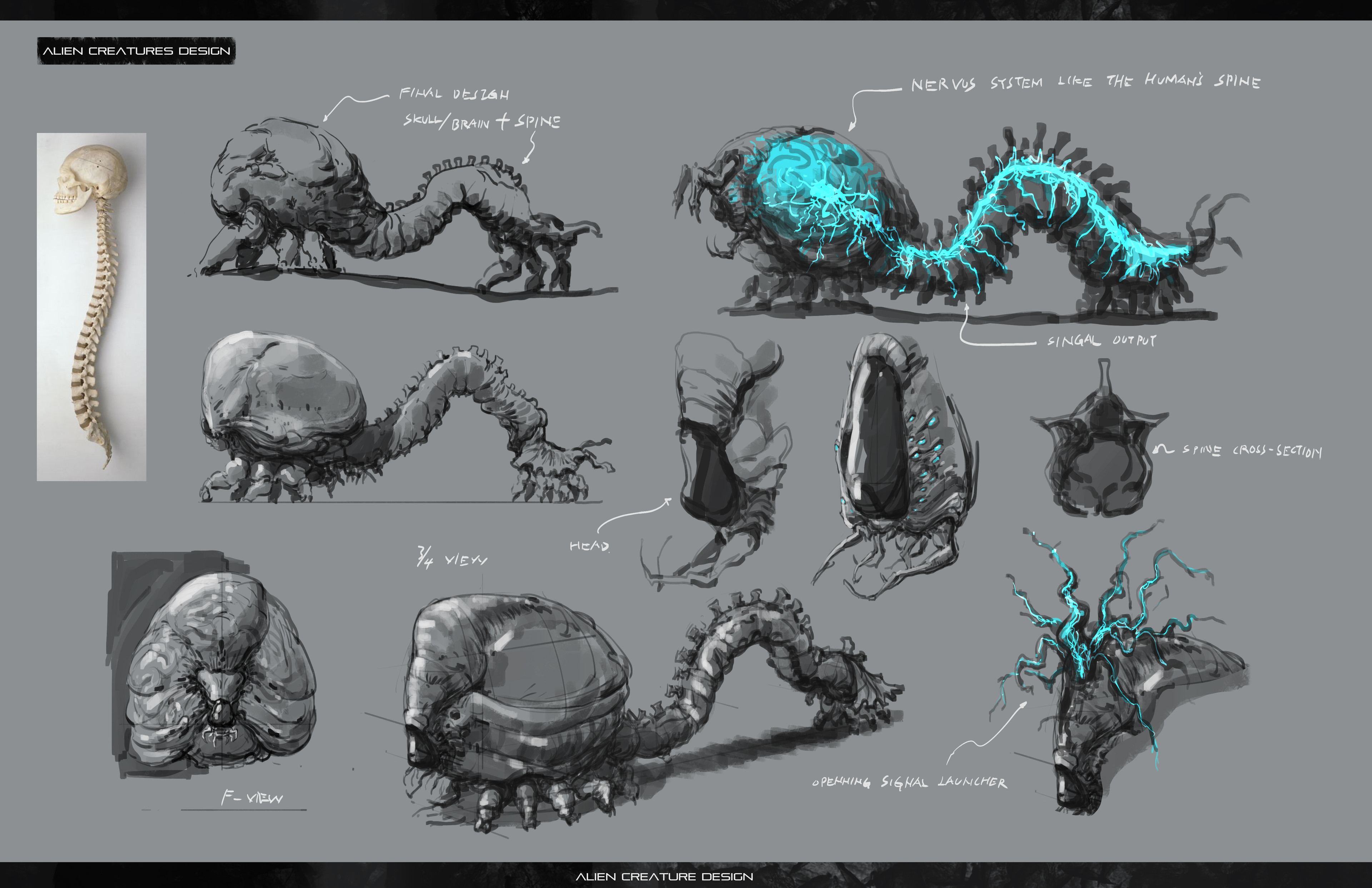 Longque Chen - Alien Bugs design 03