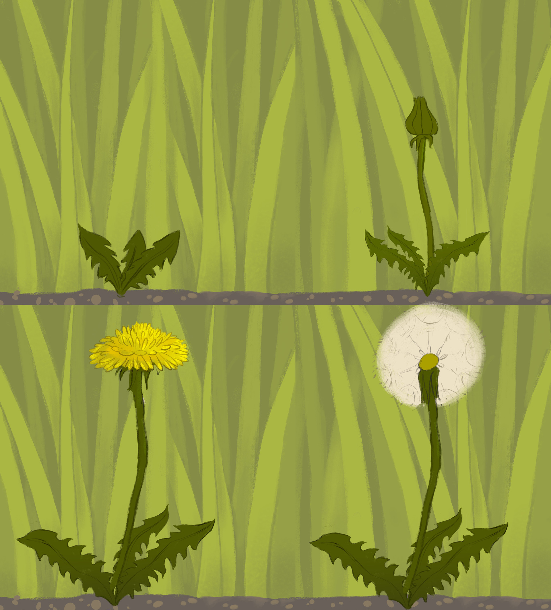 Patrik Komljenović - Dandelion Animated Short