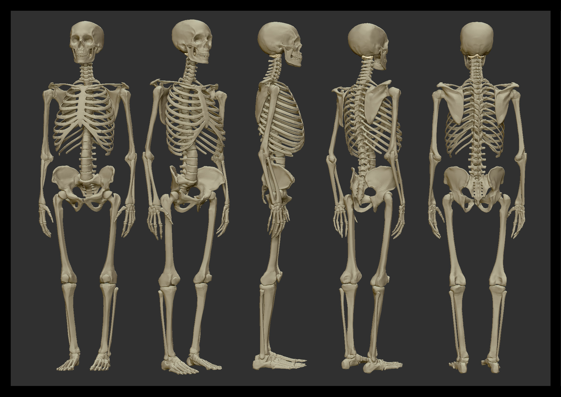 ArtStation - Skeletons