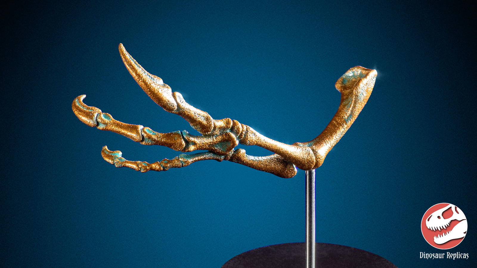 DinoReplicas - 3D Model Works - Dinosaur 3D printed arm bones - Allosaurus