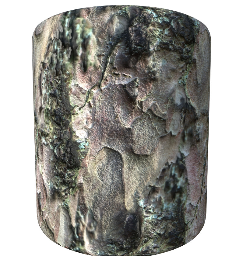 jamie robertson - tree bark biome