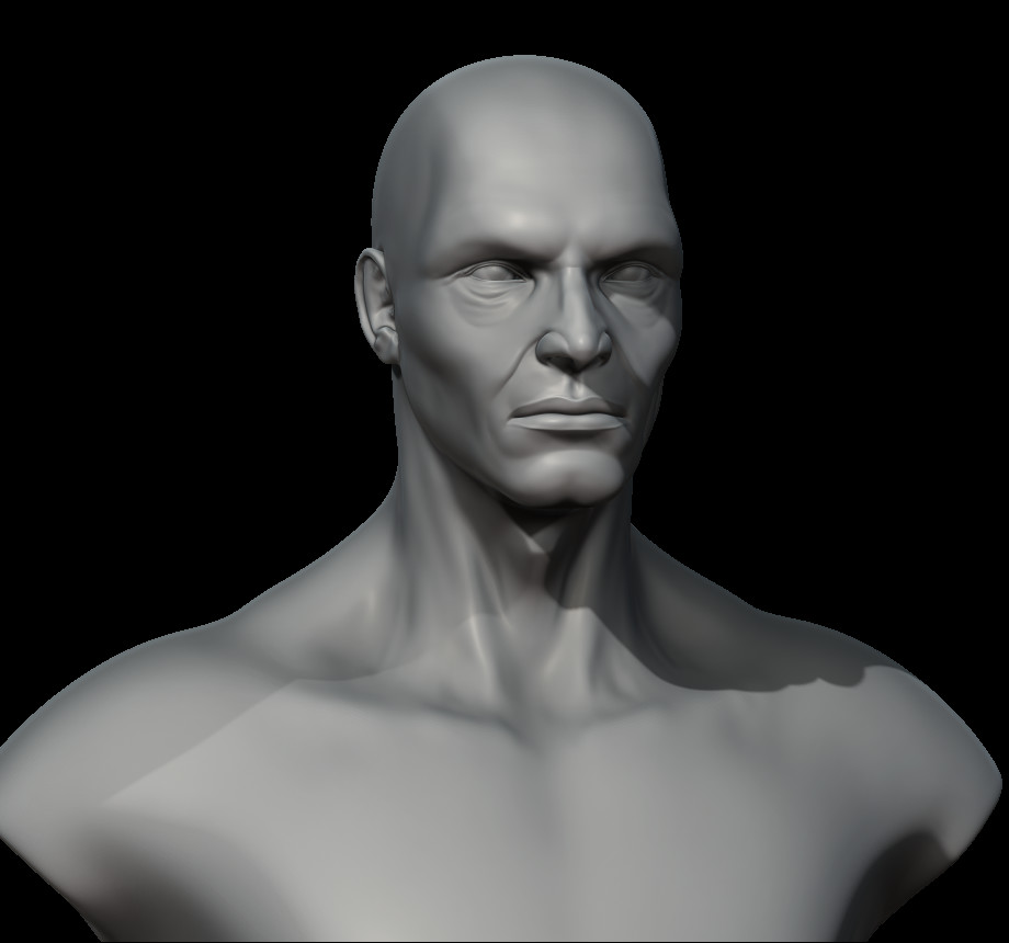 Derek Carter - Bust Studies