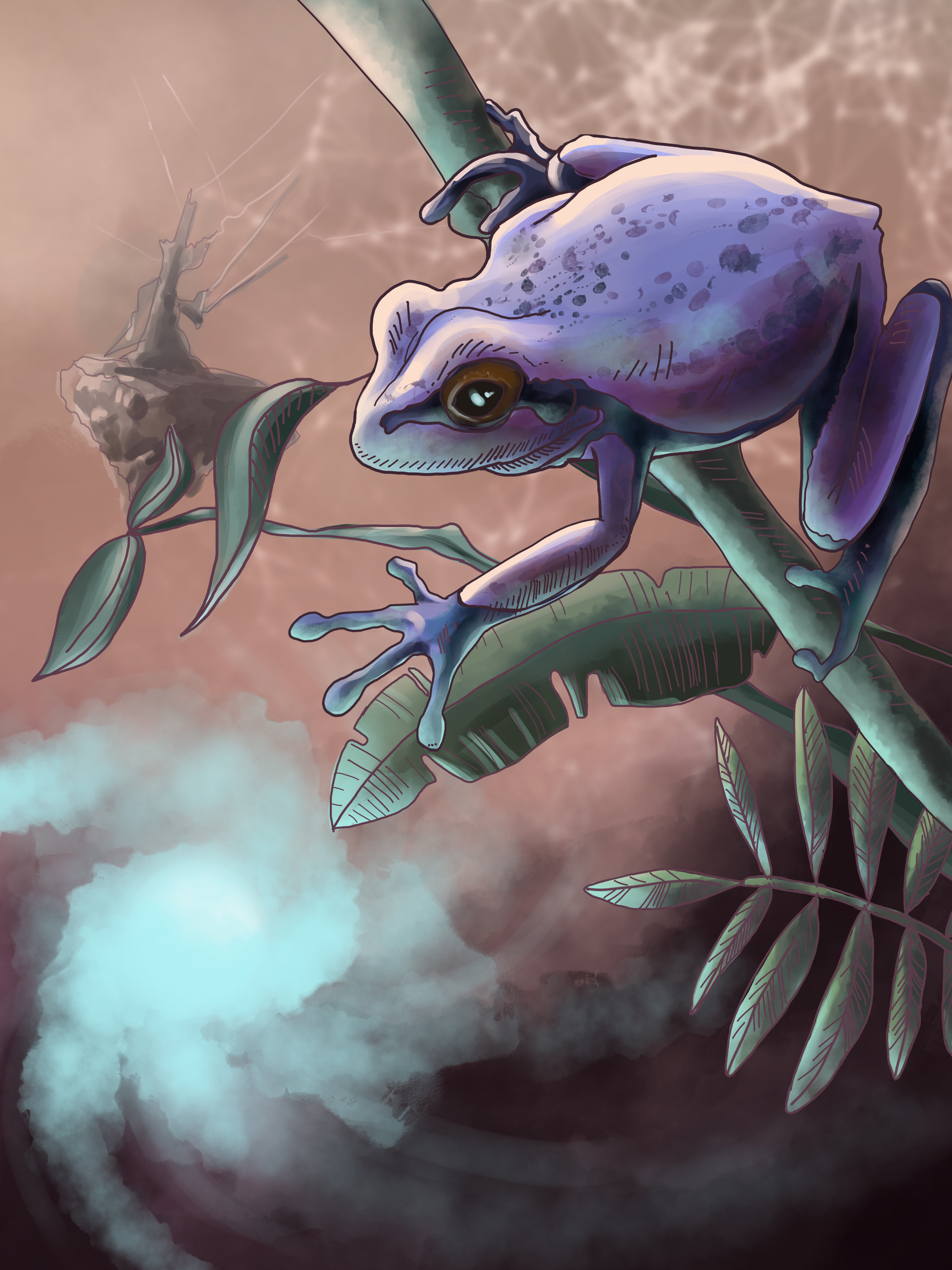 ArtStation - Questioning Frog